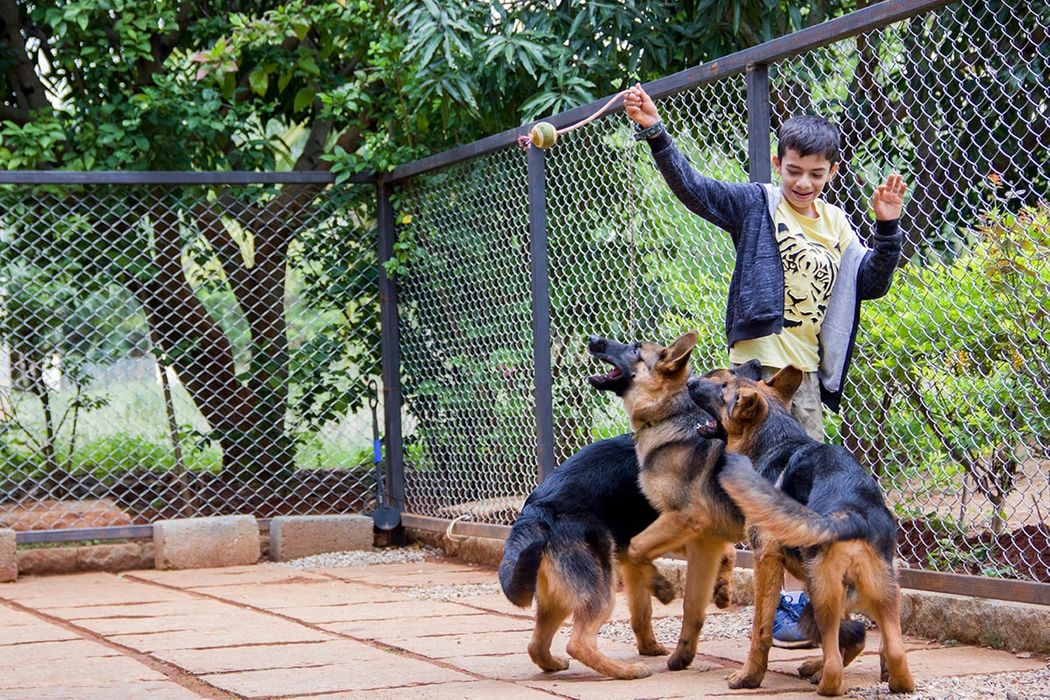 VAMA Retreats - Pet Friendly Family Resort