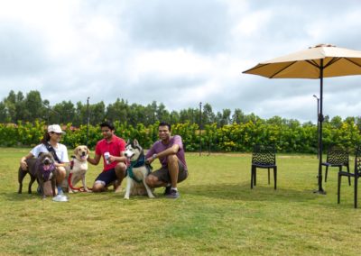 VAMA Retreats - Pet Friendly Family Resort