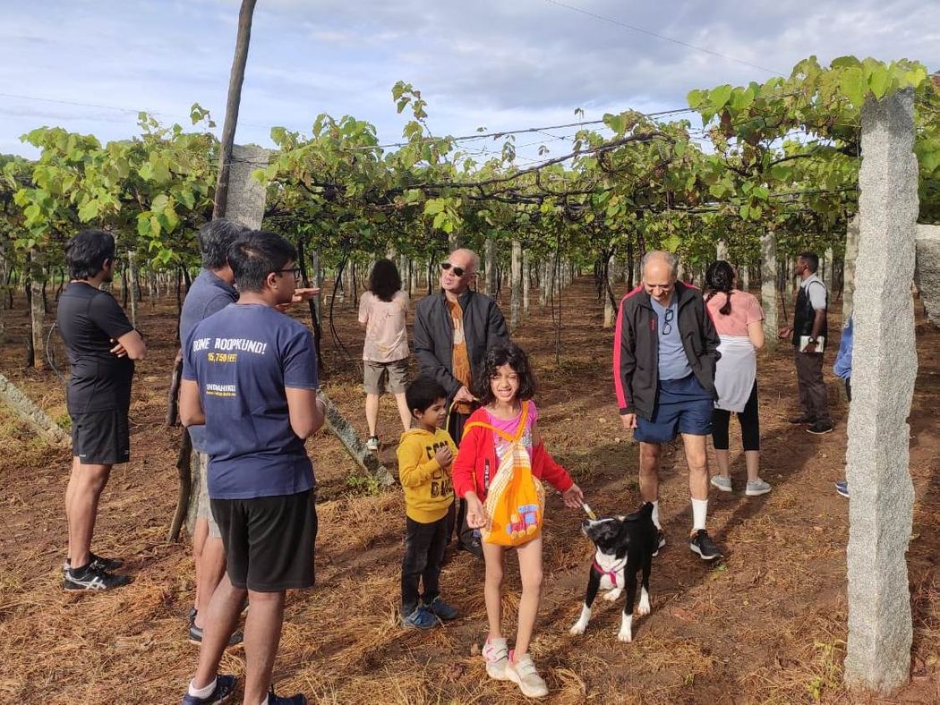 VAMA Retreats - Pet Friendly Family Resort